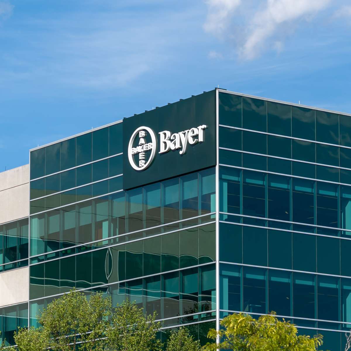 Bayer stellt die Weichen neu: Was Anleger jetzt wissen müssen