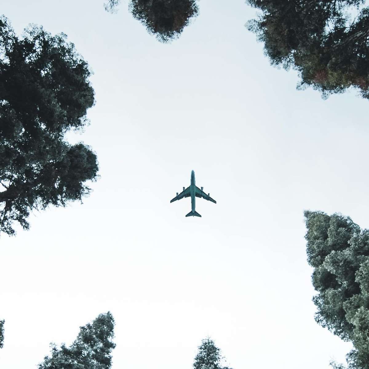 TUI und Deutsche Lufthansa: Das ist gar nicht gut