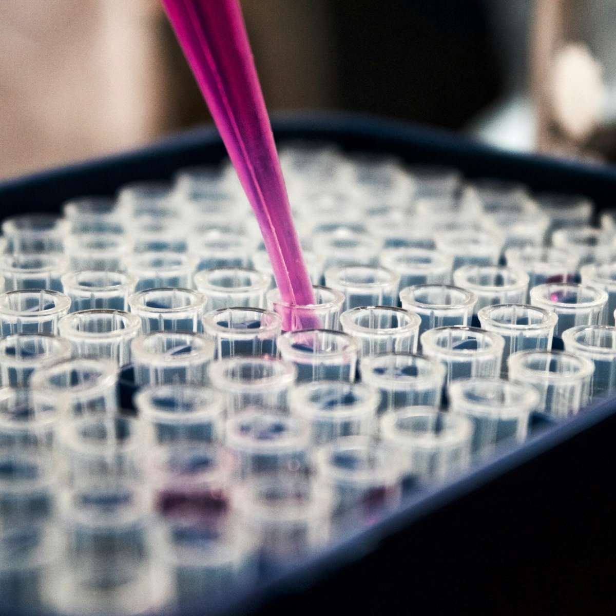 Eli Lilly: Kursbremse trotz Rekordgewinn