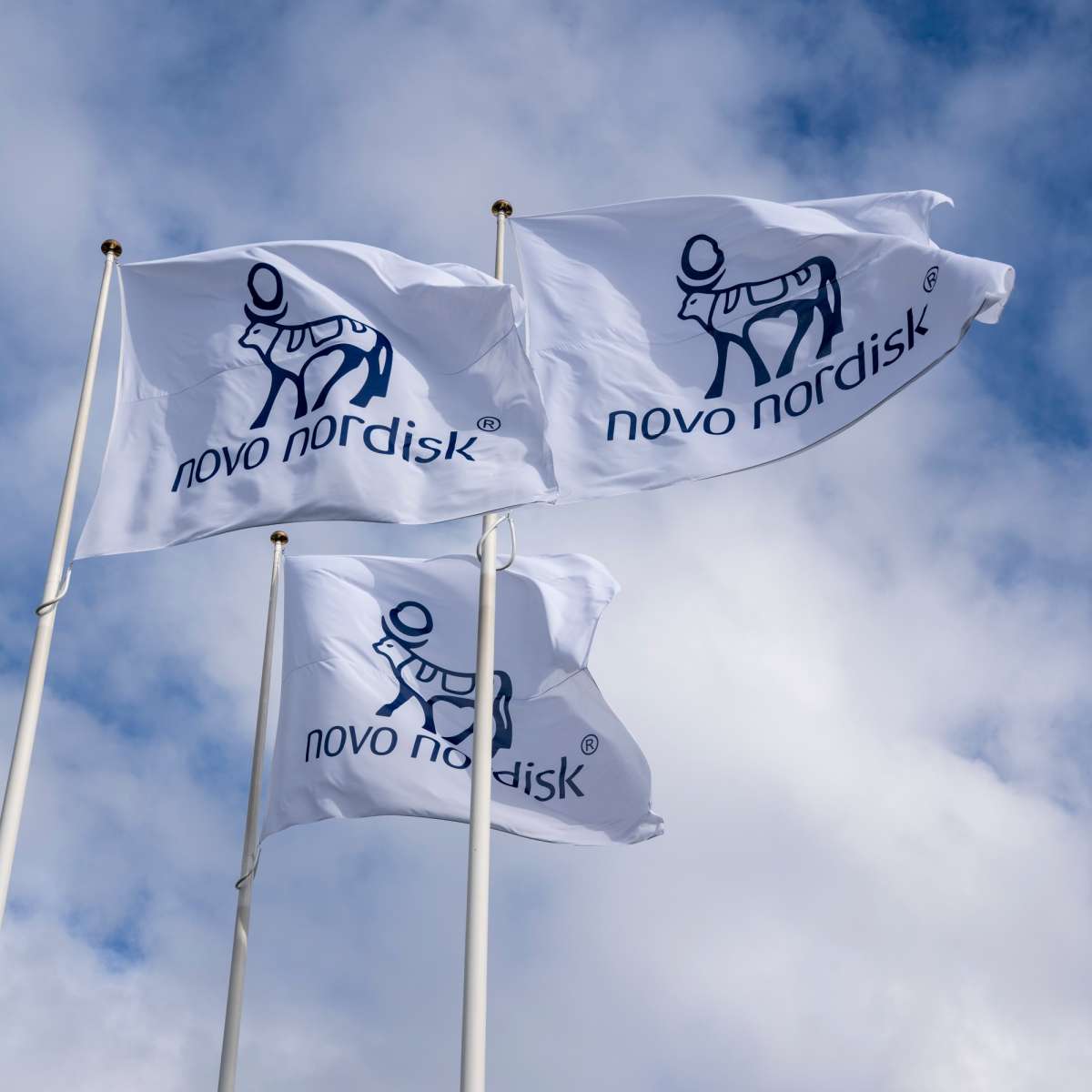 Novo Nordisk bleibt das Schwergewicht der Branche: Wegovy hebt weiter ab