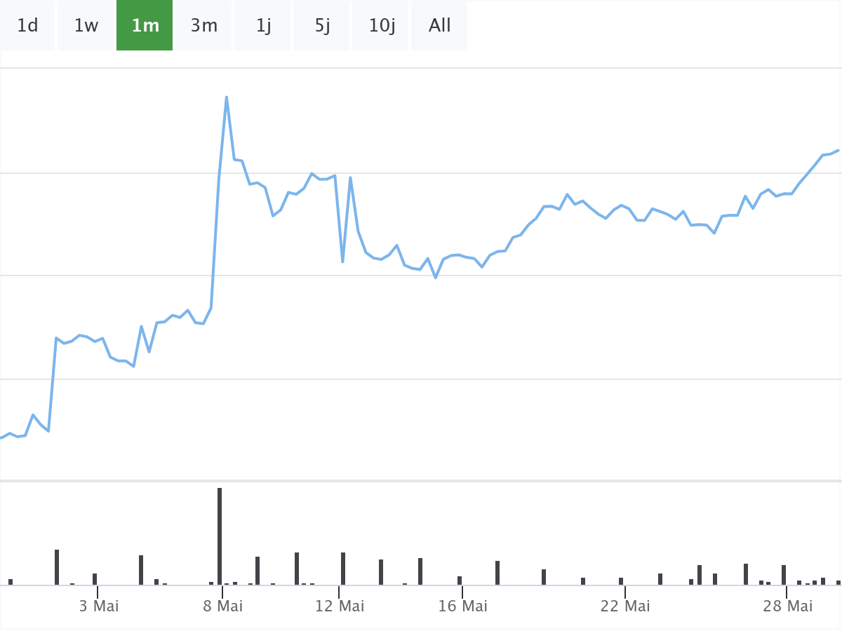 BVB: Rheinmetall Sponsoring sorgt für Empörung